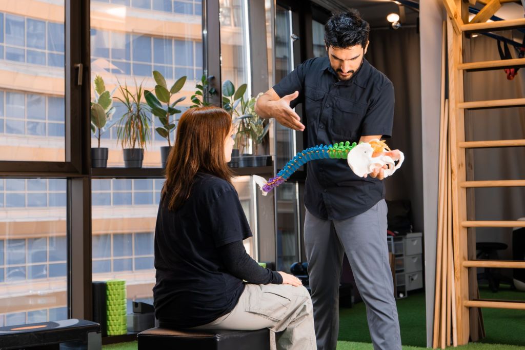 Sacroiliac Joint: Structure, Function, and Impact on Human Mobility
